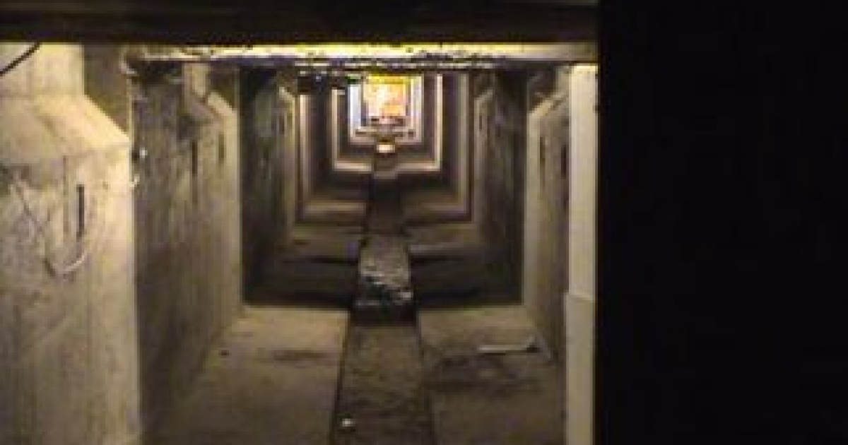 Recuperata la canapa, Aldo Rossi e Aldo Franchi in manette - Ticinonline