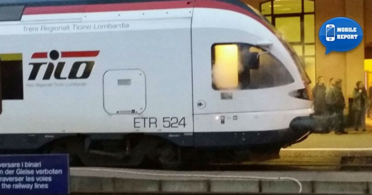 Fumo dal Tilo. Un cervo all’origine del corto circuito - Ticinonline