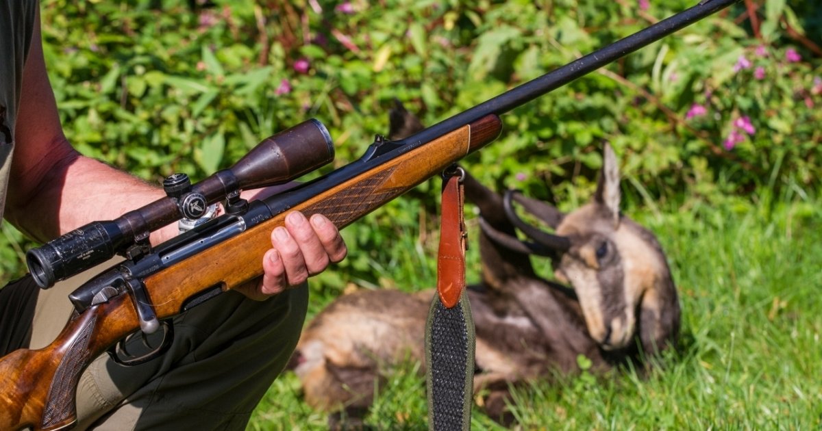 Cacciatore italiano fermato in Mesolcina - Ticinonline