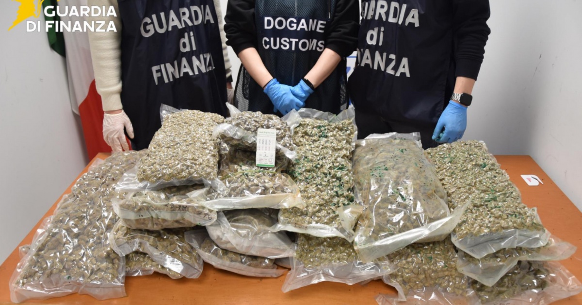 Beccato all'aeroporto con 20 chili di marijuana in valigia: arrestato ...