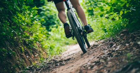 Maggiore Lake Trail, un percorso che non conosce confini - Ticinonline